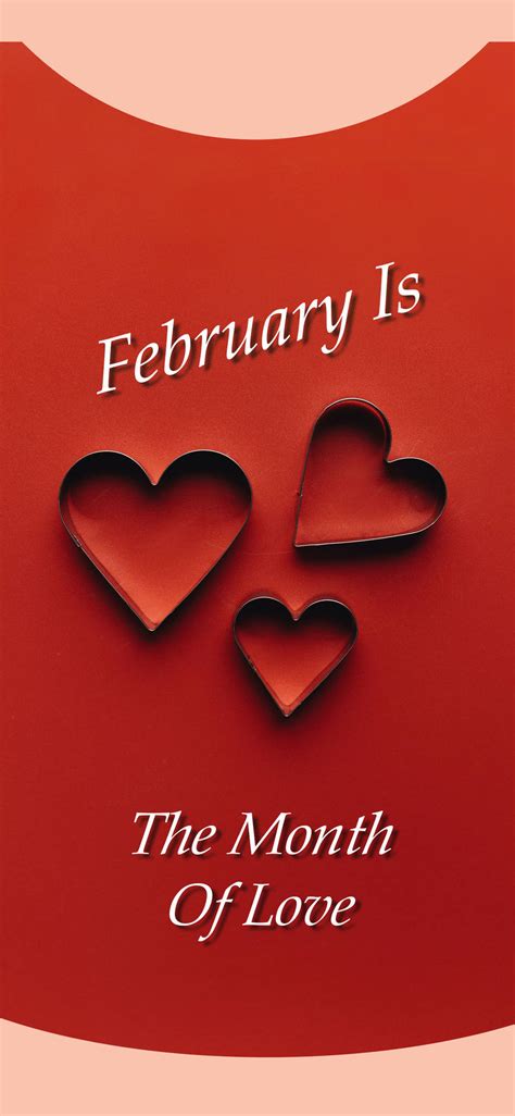 100 February Backgrounds