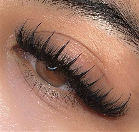 Whispy Look Whispy Lashes Lashes Perfect Eyelashes