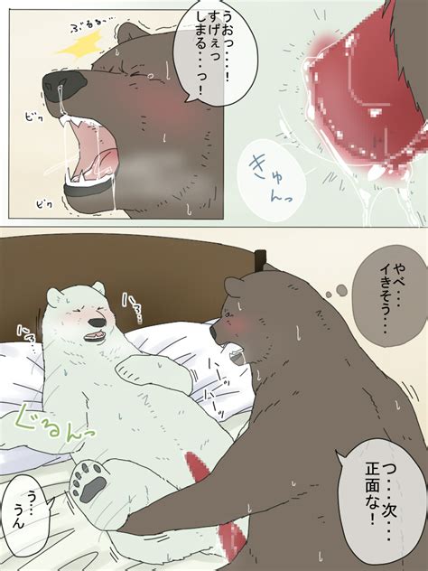 Rule 34 Grizzly Polar Bear Polar Bear Cafe Shirokuma Tagme 1111900