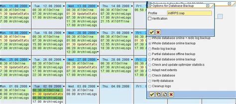 how to take sap daily backup using db13