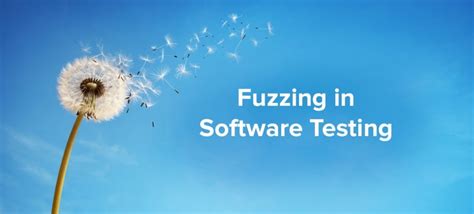 Why Fuzz Testing Is Important To Build Reliable Tech