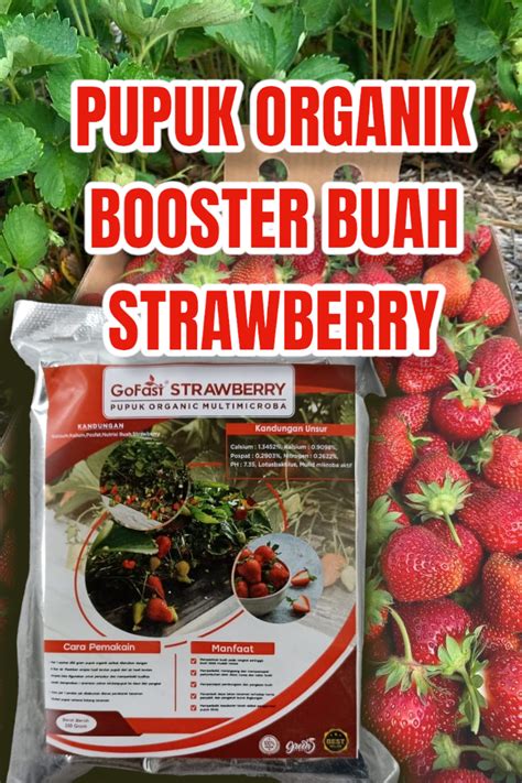 Pupuk Organik Booster Buah Strawberry Penyubur Daun Dan Buab Untuk Buah