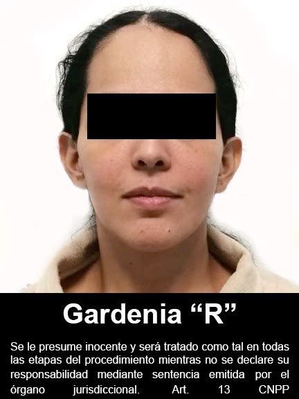 FGR extradita a mexicana acusada de tráfico de armas por EU Grupo Milenio