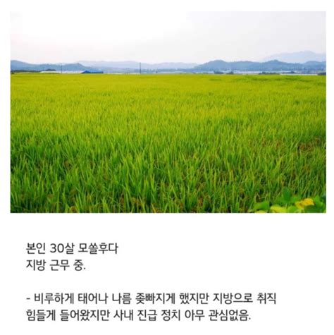 어느 30살 모솔후다의 삶 오픈이슈갤러리 인벤