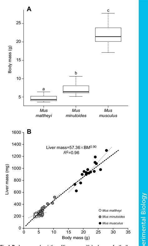 Figure 1 From Improved Mitochondrial Coupling As A Response To High