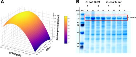 A Visualization Of The Response Surface Curve Generated From A