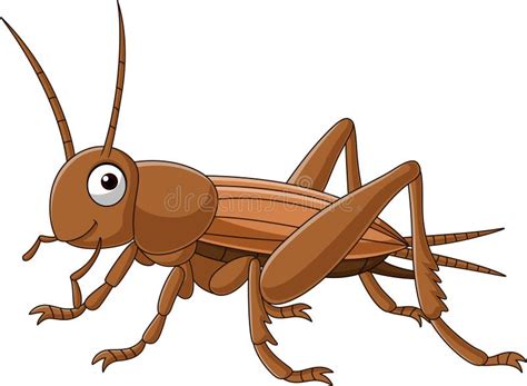 Cute Brown Grasshopper Cartoon Stock Illustrations 135 Cute Brown Grasshopper Cartoon Stock