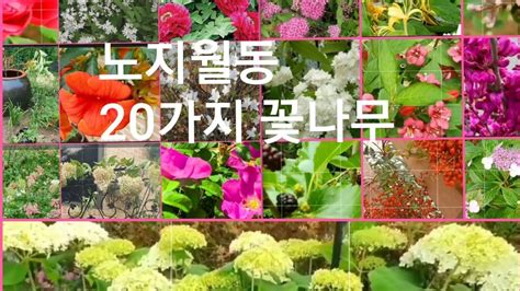 A Collage Of Flowers And Plants With The Words 2013 Written In Korean