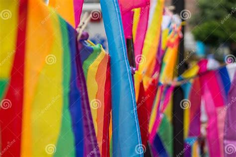 Flags With Rainbow Colors Stock Image Image Of Leaf 284493437