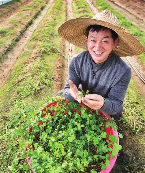 스타벅스 음료 속 네 잎 클로버의 비밀 클로버 농부에게 들은 성공비결