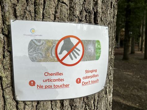 Monitoring For Invasive Non Native Species Andermatt Uk