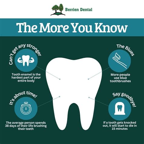 Fun Tooth Facts To Know Toothfacts Themoreyouknow Todd Christy