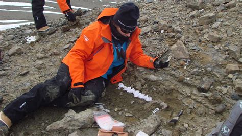 Hallan El Esqueleto De Una Nueva Especie De Ave Que Vivió En La