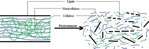 Lignocellulosic Biomass Subjected To Pretreatment Download Scientific Diagram