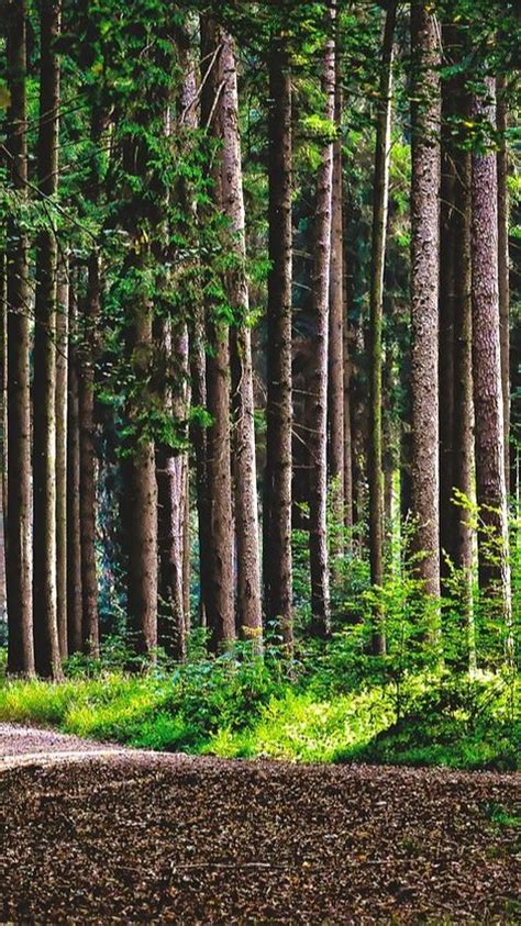Wisata Kemuning Populer Sajikan Pesona Alam Asri