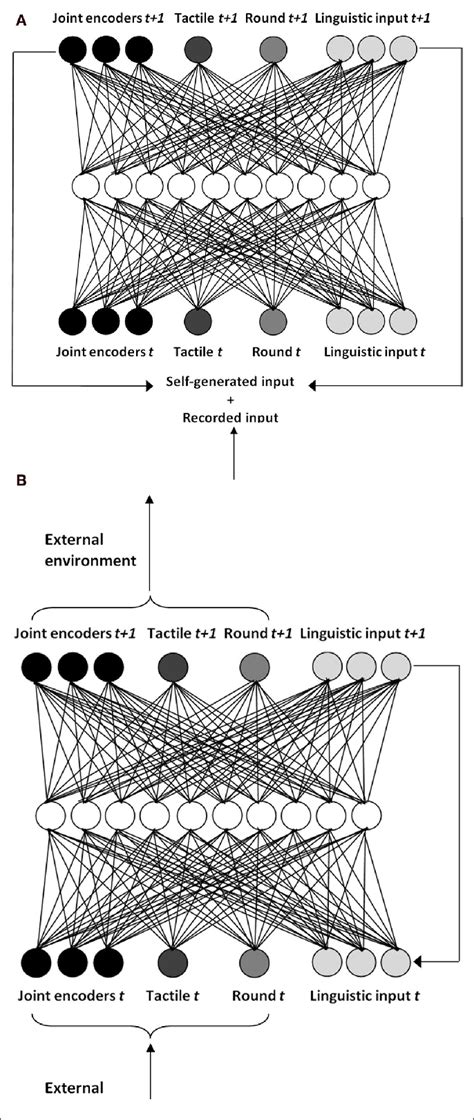 Figure 2 From Grounding Action Words In The Sensorimotor Interaction With The World