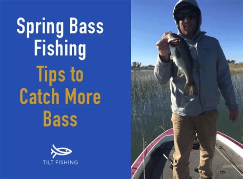 15 Essential Spring Bass Fishing Tips Tilt Fishing