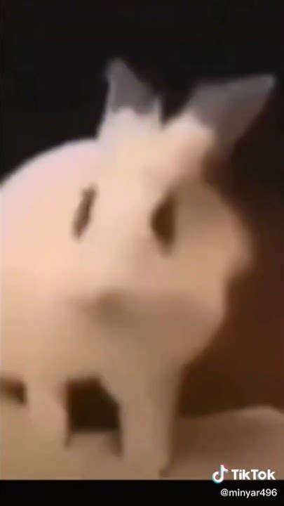 لما اكون بالحمام وينقطع الكهرباء 😭😂 Youtube