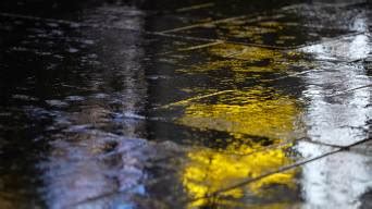 江南城市雨天道路积水倒影下雨秋雨秋夜伤心3840x2160高清视频素材下载编号9073108实拍视频光厂vj师网