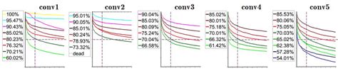 Ranked Activation Of A Subset Of Neurons For The Different