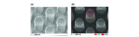 SEM Images Of A Monolayered Pillar And B Three Layered Pillar