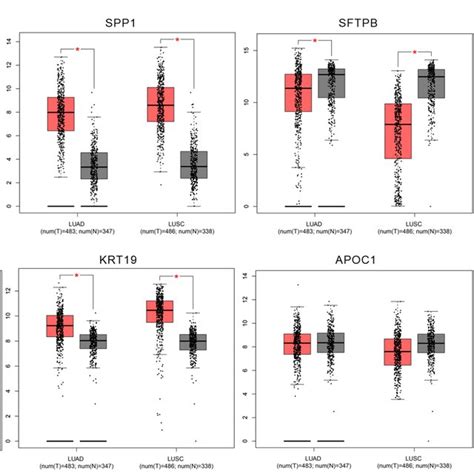 Figure S1 Analysis Of Gepia Database Data A H The Gepia Website Was