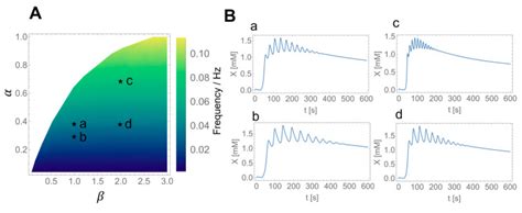 Metabolic Oscillations And Glycolytic Phenotypes Of Cancer Cells Pmc