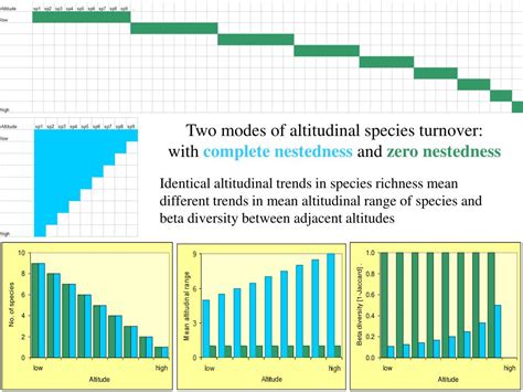 Ppt Diversity Alpha Beta Gamma Powerpoint Presentation Free Download Id5826543