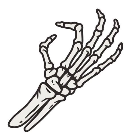 Skeleton Hand Drawing For Tattoo