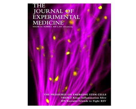 Image Seq Spatially Resolved Single Cell Sequencing Guided By In Situ And In Vivo Imaging