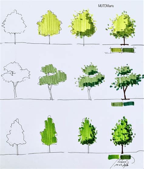 Landscape Architecture Drawing Landscape Sketch Landscape Drawings