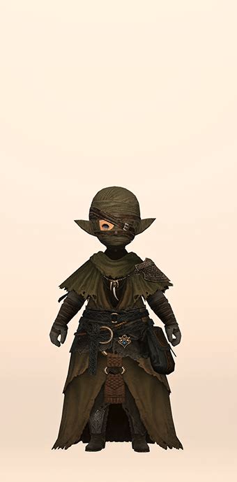 Troian Aiming Set Eorzea Collection
