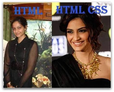 Which Should I Learn To Build A Website Html5 Or Css Quora