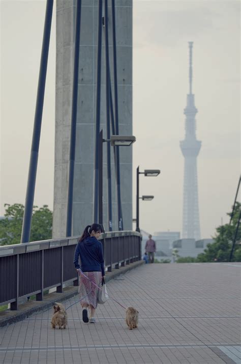Tokyo 3588 Facebook Prints Tumbl… Flickr