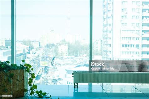 사무실 인테리어 플랜트 나무와 건물 녹색 에코 시티에서 신선한 오존 공기에 대 한 내부 정원 0명에 대한 스톡 사진 및 기타 이미지 Istock