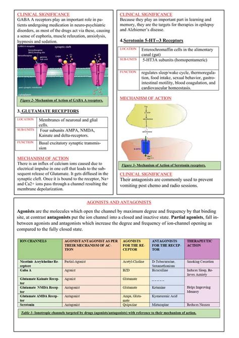 Understanding The Role Of Ionotropic Receptors Pdf Digestive