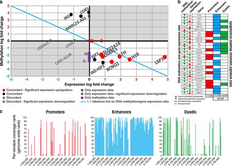 Promoter Dna Methylation Versus Gene Expression A Poor Correlation