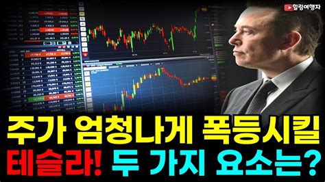 힐링여행자 미국 주식 브리핑 미국 주식 사상 최고치 계속 경신 서학개미들 엔비디아에서 다시 테슬라로 무섭게 반등하는