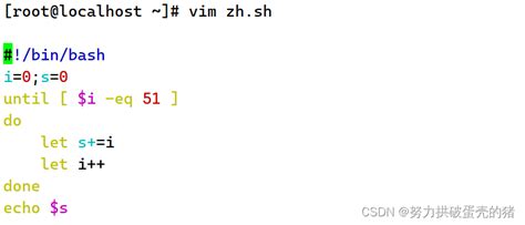 细讲shell中的循环语句 For、while、untilshell Forsi循环 Csdn博客