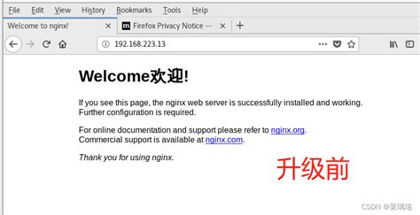 Nginx网络服务搭建nginx指定网卡 Csdn博客