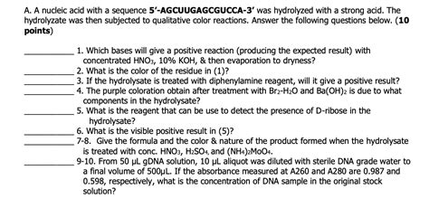 A A Nucleic Acid With A Sequence Chegg