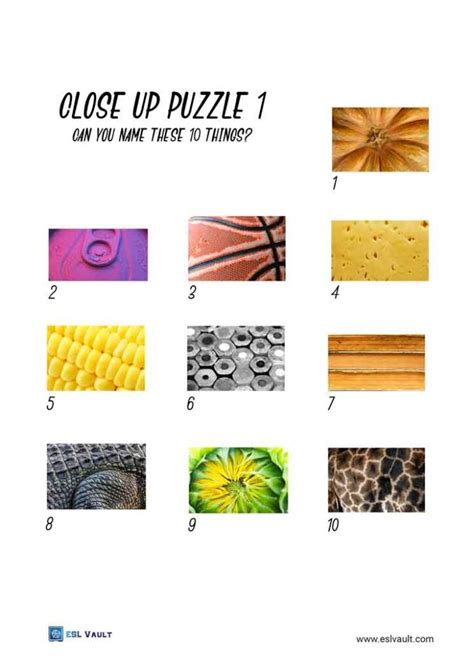 Everyday Objects Close Up Picture Quiz With Answers Printable Ark For