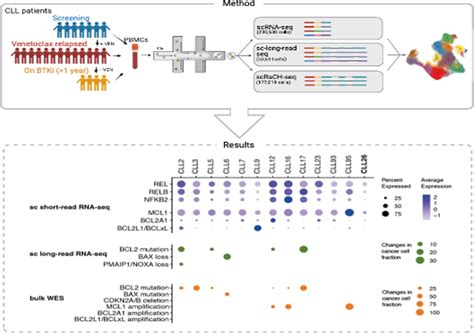 S140 Single Cell Multiomics Analyses Reveal Complex Intra P