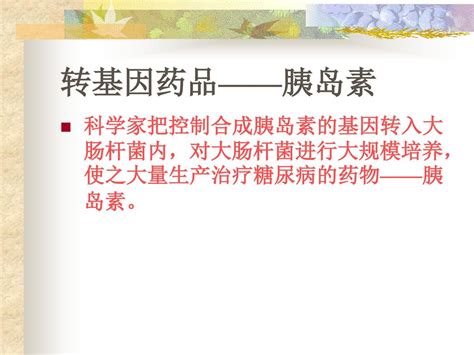 第二节 人类对细菌和真菌的利用 Ppt Download