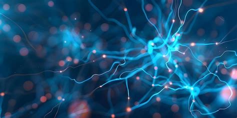Complex Neural Network With Dynamic Connections And Plasticity For