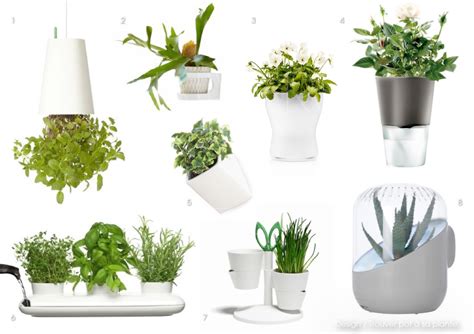 UNIVERS CREATIFS Design Trouver pot à sa plante