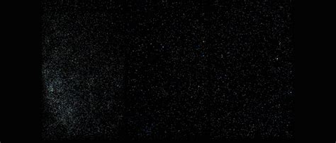 Call And Response By Michael Ned Holte Pomona Museum