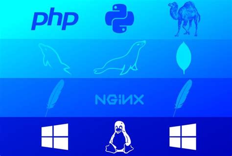 Web Software Stacks Comparison Of Lamp Vs Mean Fasthosts