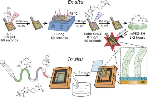 Polymer Brushes On Silica Nanostructures Prepared By Aminopropylsilatrane Click Chemistry