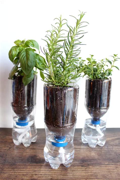 Diy Self Watering Planters Artofit